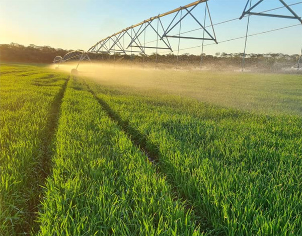 About Us – Landrix Agro Private limited